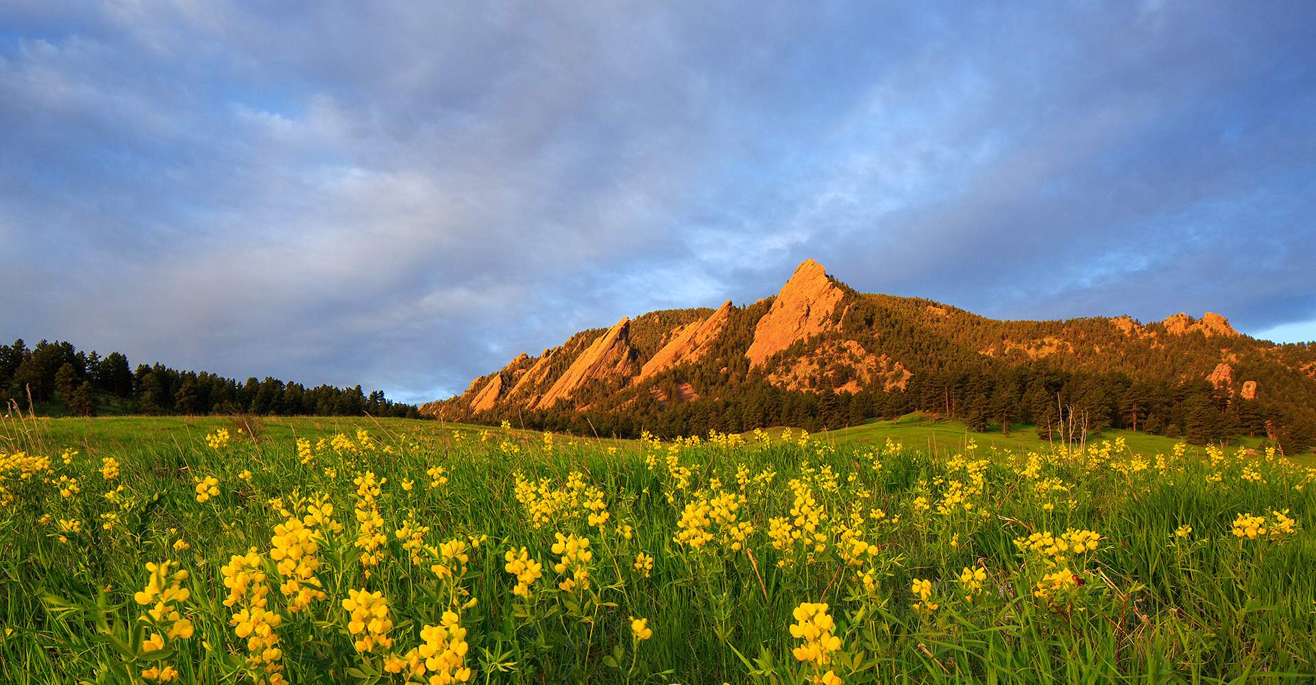 Programming problems and Competitions :: HackerRank